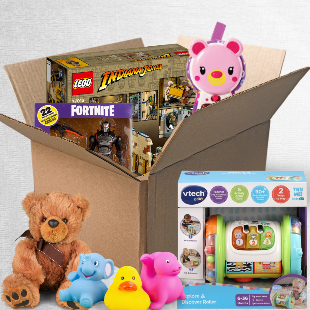 Large TOYS Box - EcomKings